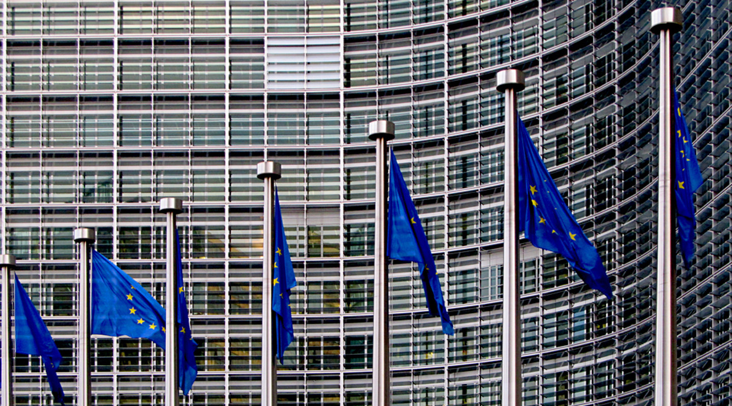 ECI Delegation Will Meet EU Commissioners on Nov 25 – Save bees and farmers